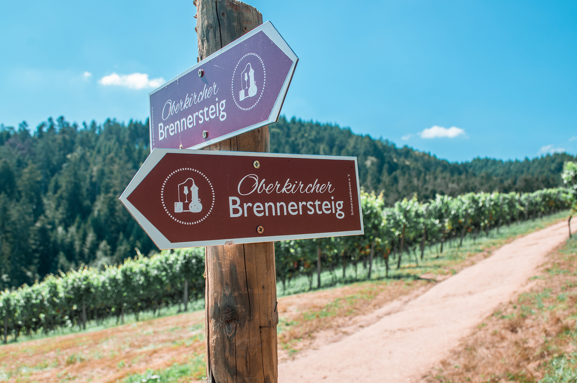 Home - Hiking & Drinking