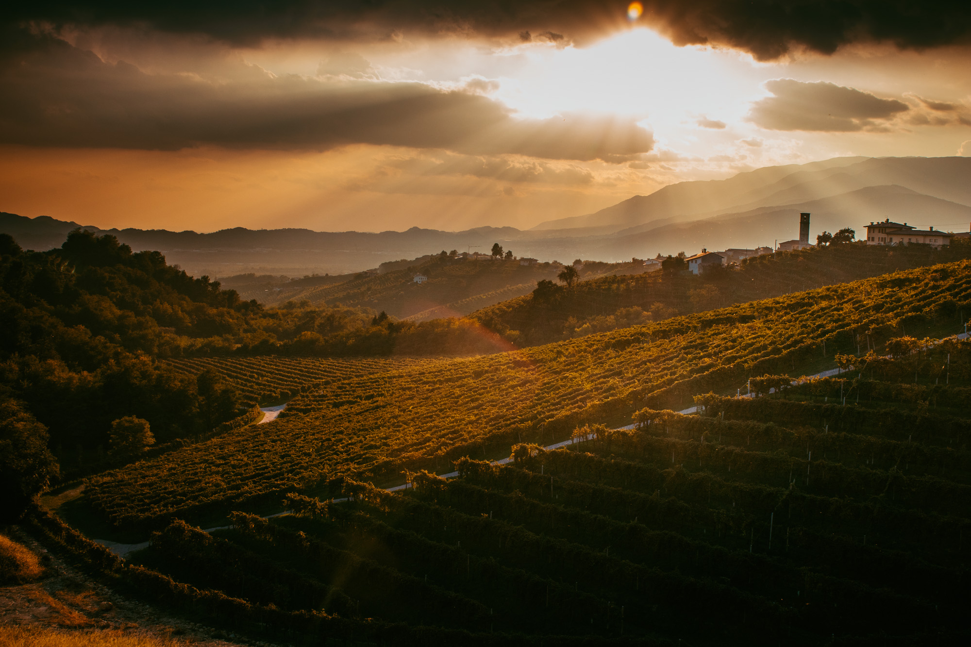The golden land of Prosecco wine and valley hikes - Hiking & Drinking